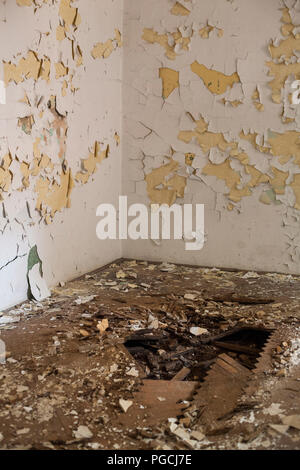 An Abandoned School with destroyed Wooden Interior and trashed shelves ...