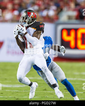 Detroit Lions wide receiver Jackson Meeks (83) spikes the football in ...