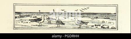 Image from page 231 of 'South Weald. Its history, its churches, its ...