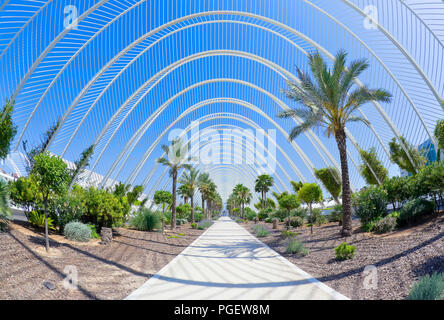The Umbracle promenade with palm trees, City of Arts and Sciences ...