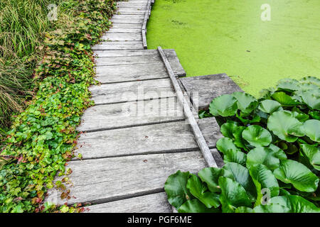A wooden walkway around the garden pond path, Footbridge Sidewalk Stock ...