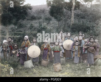 Vintage 19th century photograph: tea plantation workers, Ceylon, Sri ...