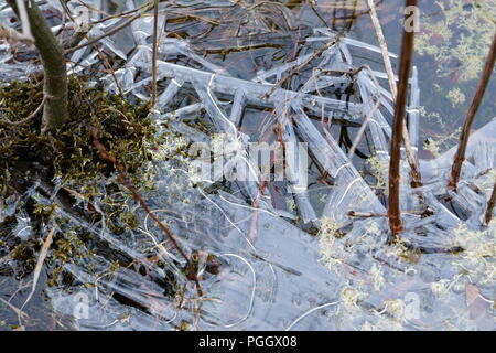 Puddle have frozen during the night in the city. Crisp and transparent ...