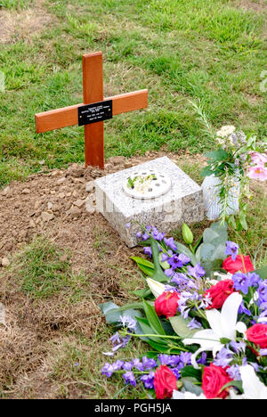 Squadron Leader Geoffrey Wellum DFC, the youngest Spitfire pilot to ...