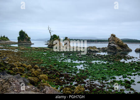 Three Graces rock formation at Garibaldi Oregon Coast during low tide ...