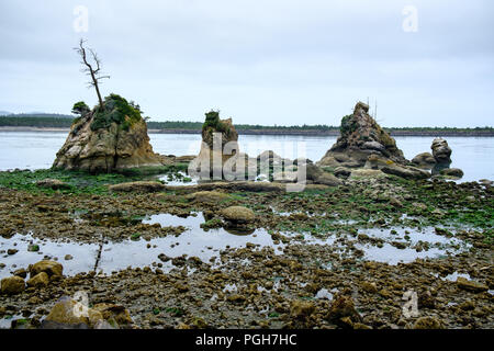 Three Graces rock formation at Garibaldi Oregon Coast during low tide ...