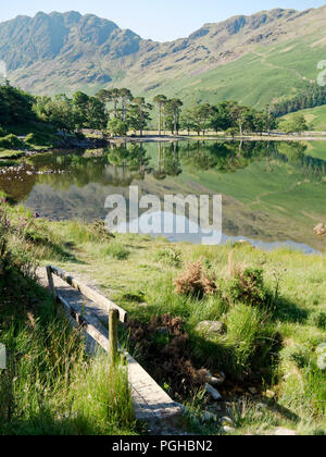 Footpath Buttermere Lake District National Park Cumbria England United ...