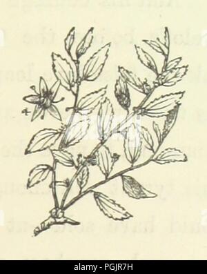 Image from page 87 of 'The Story of Washington, the National Capital ...