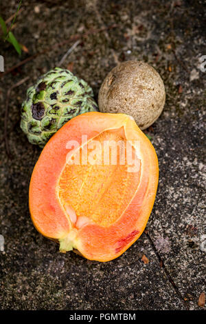 Sweet juicy ripe custard apple fruit Stock Photo - Alamy
