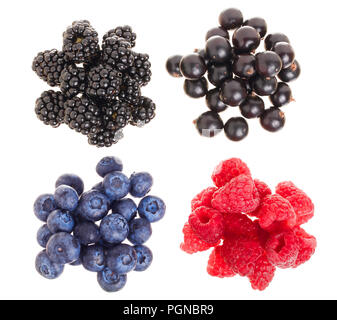 blackberry blueberry raspberry black currant isolated on white ...
