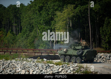 U.S. Marines with 2d Light Armored Reconnaissance Battalion, 2d Marine ...