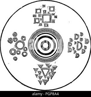 "History of American missions to the heathen, from their commencement ...
