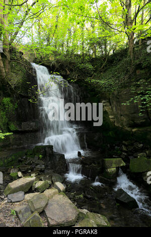 Summer view of Harmby Waterfall, Harmby village, Yorkshire Dales ...