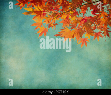 Autumn leaves and paper on a blue background Stock Photo - Alamy