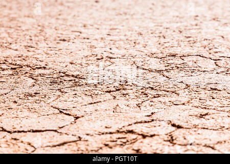 Dry mudflat closeup Wooramel Station Stock Photo - Alamy