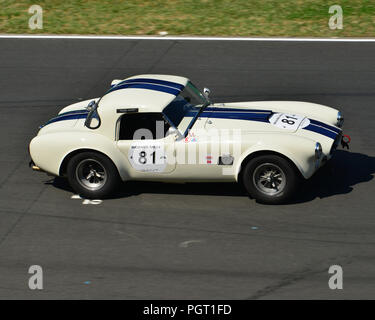 Jean Legras, Hugues Ripert, Shelby Cobra, Plateau 4, Grid 4, 1962 to ...