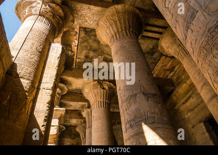 Looking up at carved floral capitals of stone columns in hypostyle hall ...