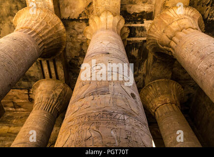 Looking up at carved floral capitals of stone columns in hypostyle hall ...
