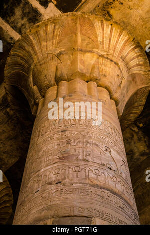 Looking up at palmiform columns with Egyptian hieroglyphs in great ...