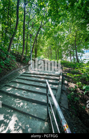 Scenery of concrete steps stairway pathway on the forest slope ...
