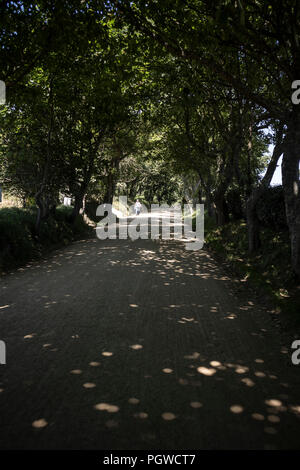 The Avenue on Sark Island, near Guernsey, UK, and part of the Channel ...