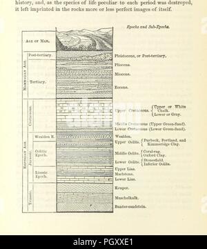 page 650 of '[The Coal-Regions of America; their topography, geology ...