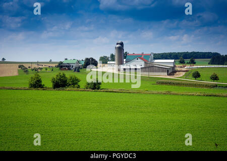 Mennonite Farms,Farmland and Horse and Buggy near Elmira in Ontario ...