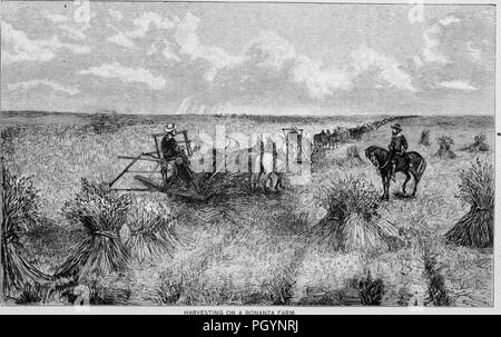Harvesting wheat on a bonanza farm in Dakota Territory 1880s. Hand ...