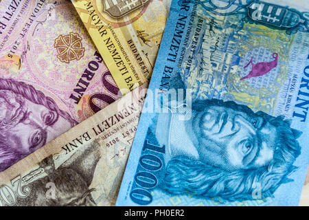 Different Hungarian Banknotes background. Europe Hungary Banking ...
