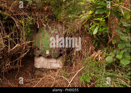 Neglect and time have contributed to this domestic oil tank to hold ...