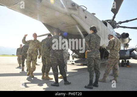 U.S. Army Col. Hector Paz, the senior defense official at the United ...