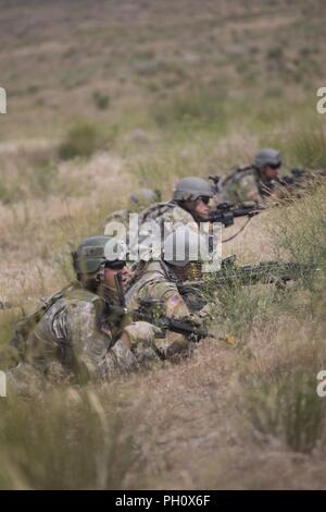 Soldiers of the 81st Stryker Brigade Combat Team stand in formation ...