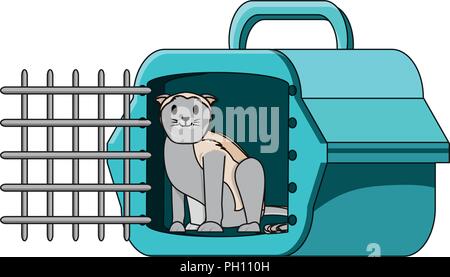 cute cat and transport box over white background, vector illustration ...