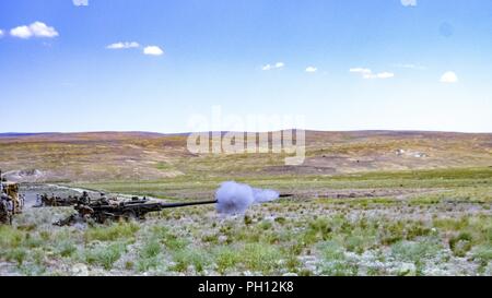 Soldiers of the 81st Stryker Brigade Combat Team stand in formation ...