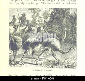 Image from page 103 of 'The Great Salt Lake Trail' Stock Photo - Alamy