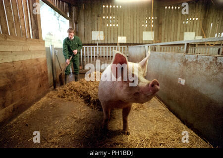 Oathall Community College farm in Haywards Heath Stock Photo - Alamy