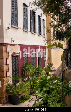 Gibraltar, Upper Town, Castle Ramp, plants lining back street, outside ...
