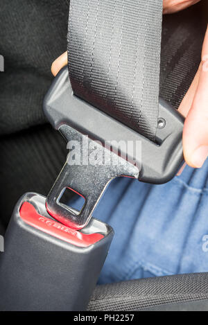 Fastening Seat Belt to lock seat belt in car. Woman hand Close up Stock ...