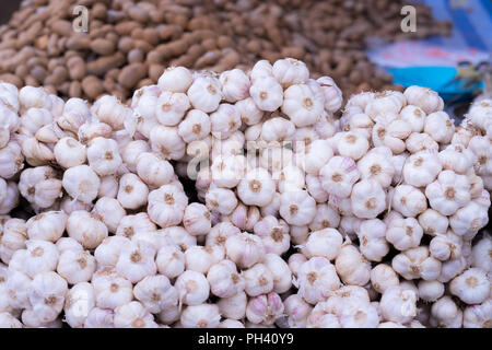 Heads of garlic in drying inside a stall in a typical Italian farm that ...
