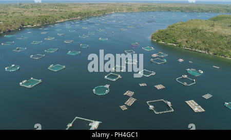 Fish farm with cages for fish and shrimp. Fish ponds for bangus ...
