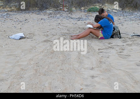 Footprint of hatchlings Loggerhead Sea Turtle (Caretta caretta Stock ...
