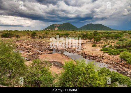 Savanna landscape, Tanzania, East Africa Stock Photo - Alamy