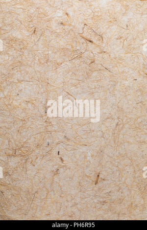 Texture vanilla yellow fiber paper torn edges. Isolated on white ...