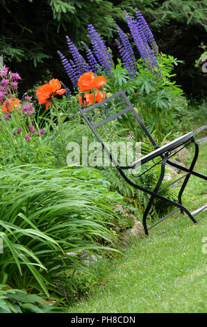 Colorful flowerbed flowers garden chair Stock Photo - Alamy
