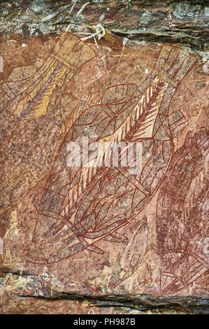 Ancient fish drawing at Ubirr Aboriginal rock art site, Kakadu National ...