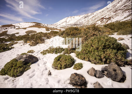 Snow covered mount teide Stock Photo - Alamy