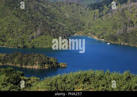 Scenery in the Marlborough Sounds, Onahau Bay Stock Photo - Alamy