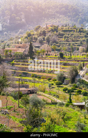 Wine mountains close to Valldemossa (Majorca Stock Photo - Alamy