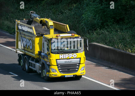 Hippo Haulage delivery trucks, lorry, transportation, truck, cargo ...