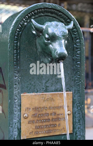 The "toret", typical fountain of Turin Stock Photo - Alamy